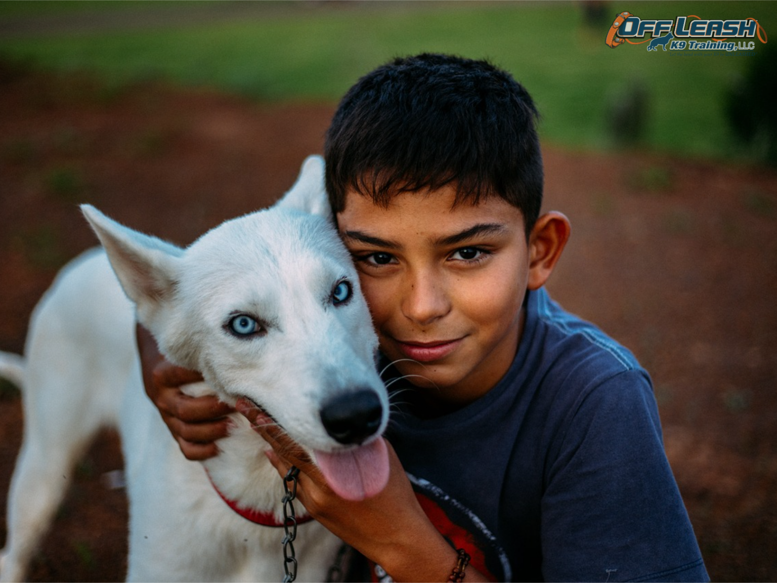 Promoting Pawsitivity: The Key to Dog Safety Education for Kids | Off ...