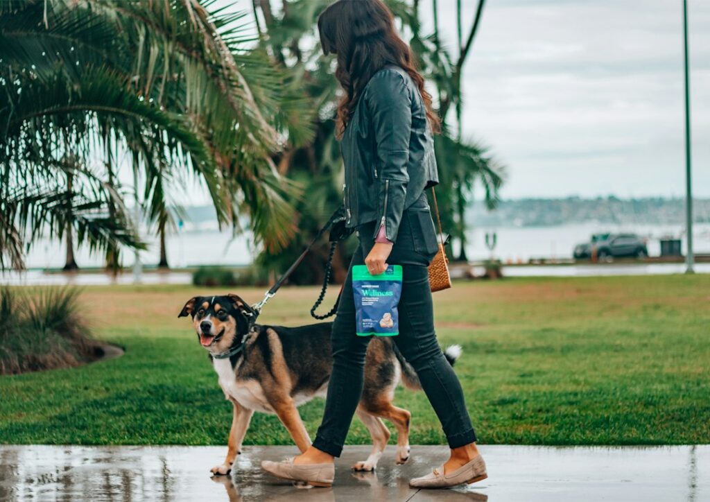 Exploring New Adventures: Boosting Your Dogs Health and Happiness ...